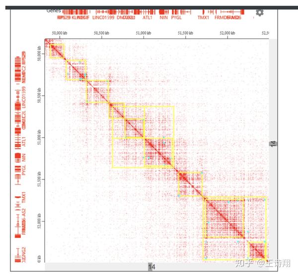「Workshop」第二十五期：HiC 数据处理简介 - 知乎