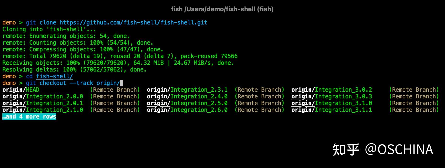 Fish Shell 计划采用 Rust 重写 - 知乎