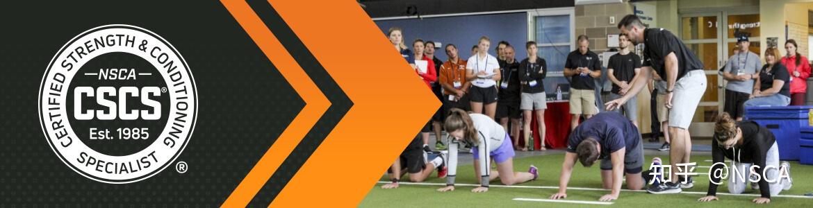 NSCA┃走进NSCA！！ - 知乎