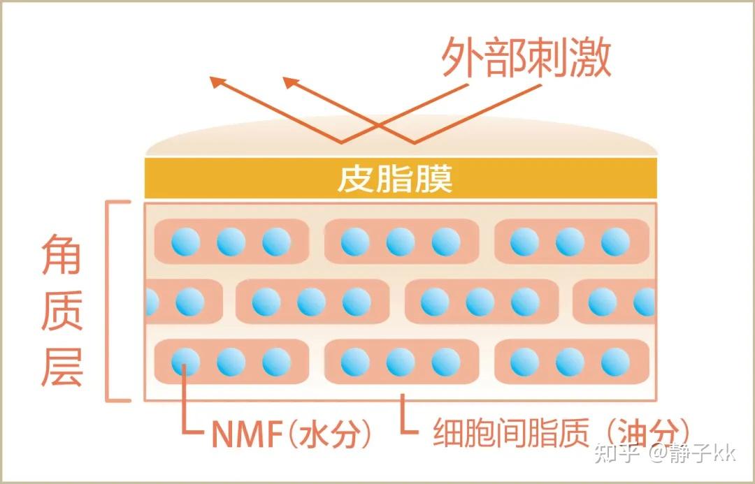 敏感肌?过敏肌?如何自测 知乎