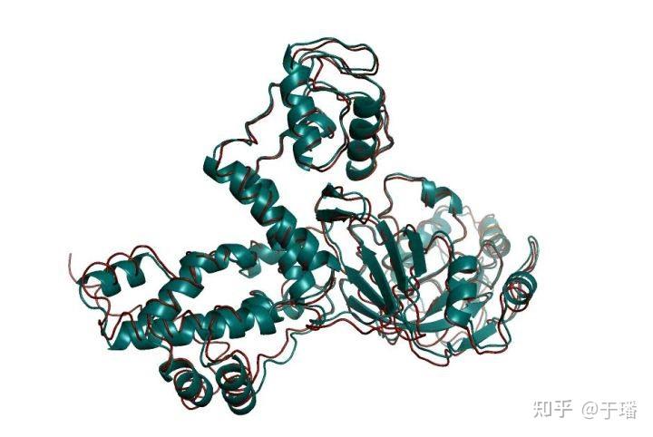 Mindspore Ai科学计算系列(11):基于alphafold2算法的蛋白质结构预测推理工具在mindspore中开源 知乎
